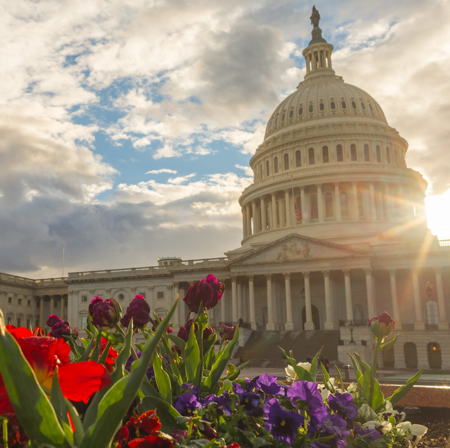 GAO Report Highlights Federal Protections for Whistleblowers - The Anti ...